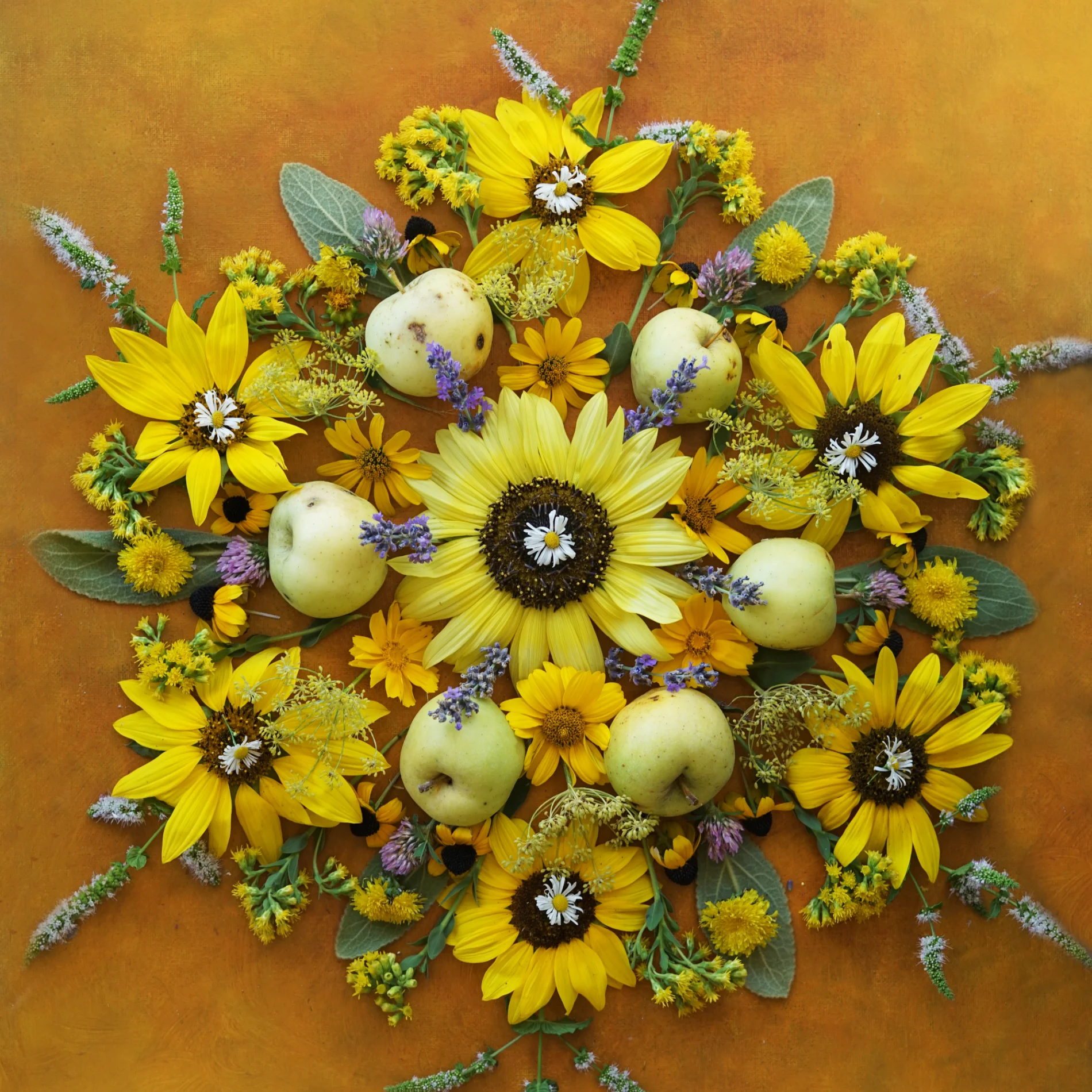 Reflections on August and a Cheerful Mandala — The Wondersmith