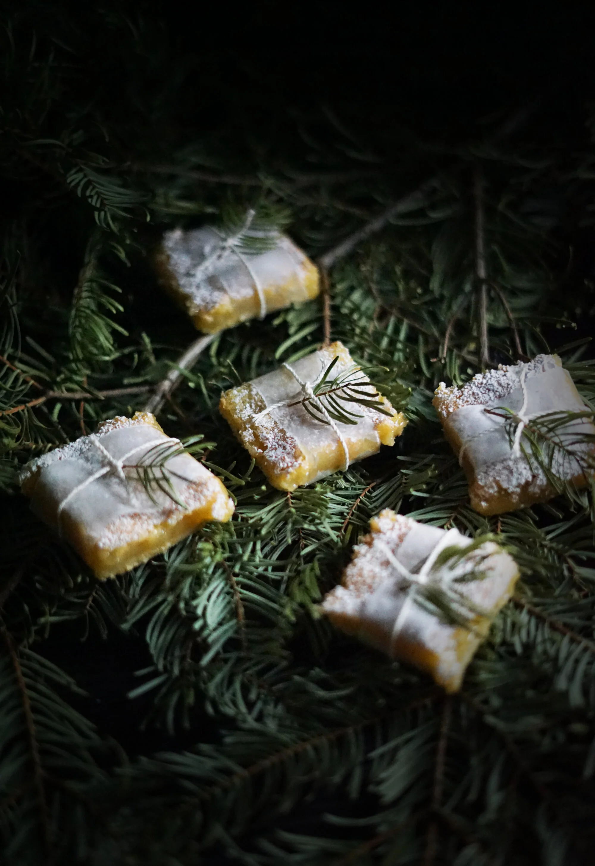 Going Tree Tasting: Conifer Lemon Bars — The Wondersmith