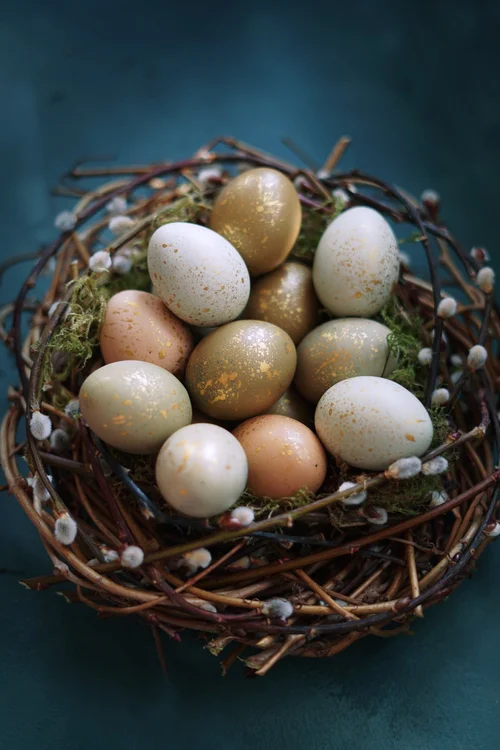 Blueberry Indigo Cake Baked in Eggshells — The Wondersmith