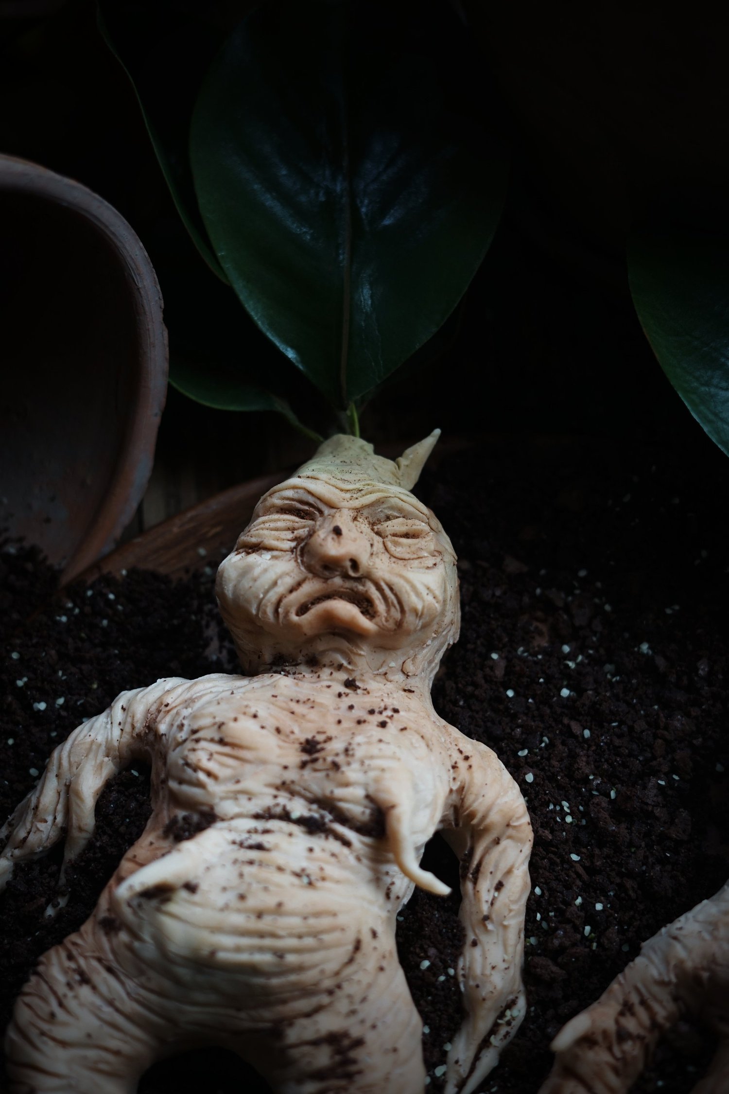 Secret Recipe: Chicory Caramel Mandrakes — The Wondersmith