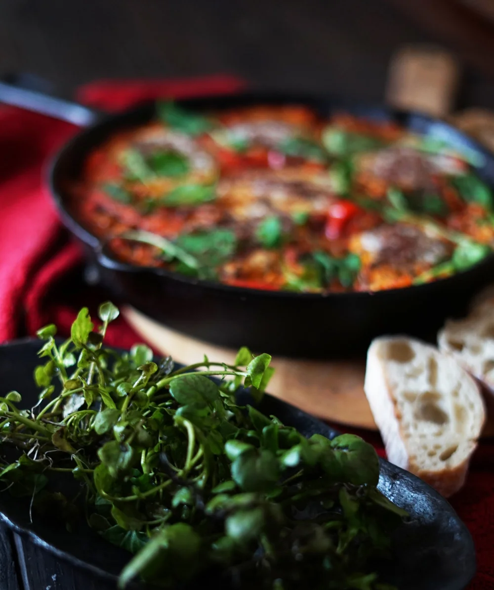 Hidden Winter Wonders and a Shakshuka Breakfast — The Wondersmith