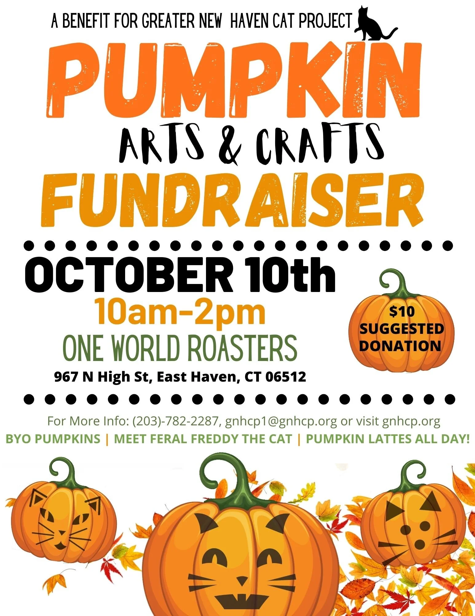 Pumpkin Arts and Crafts Fundraiser for Cats — The Greater New Haven Cat ...