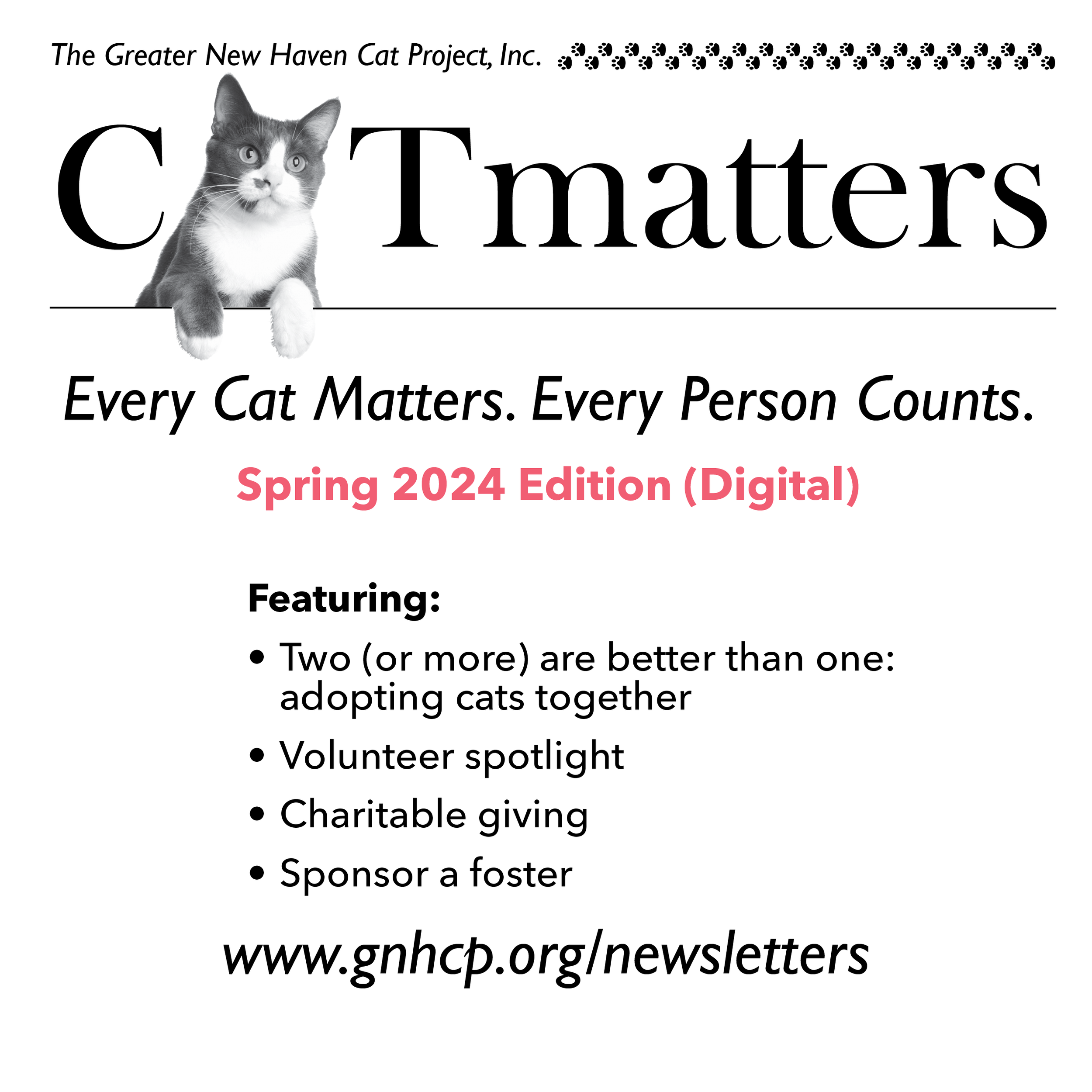 Newsletters — The Greater New Haven Cat Project, Inc