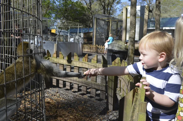 Our Zoo — Bee City Honey