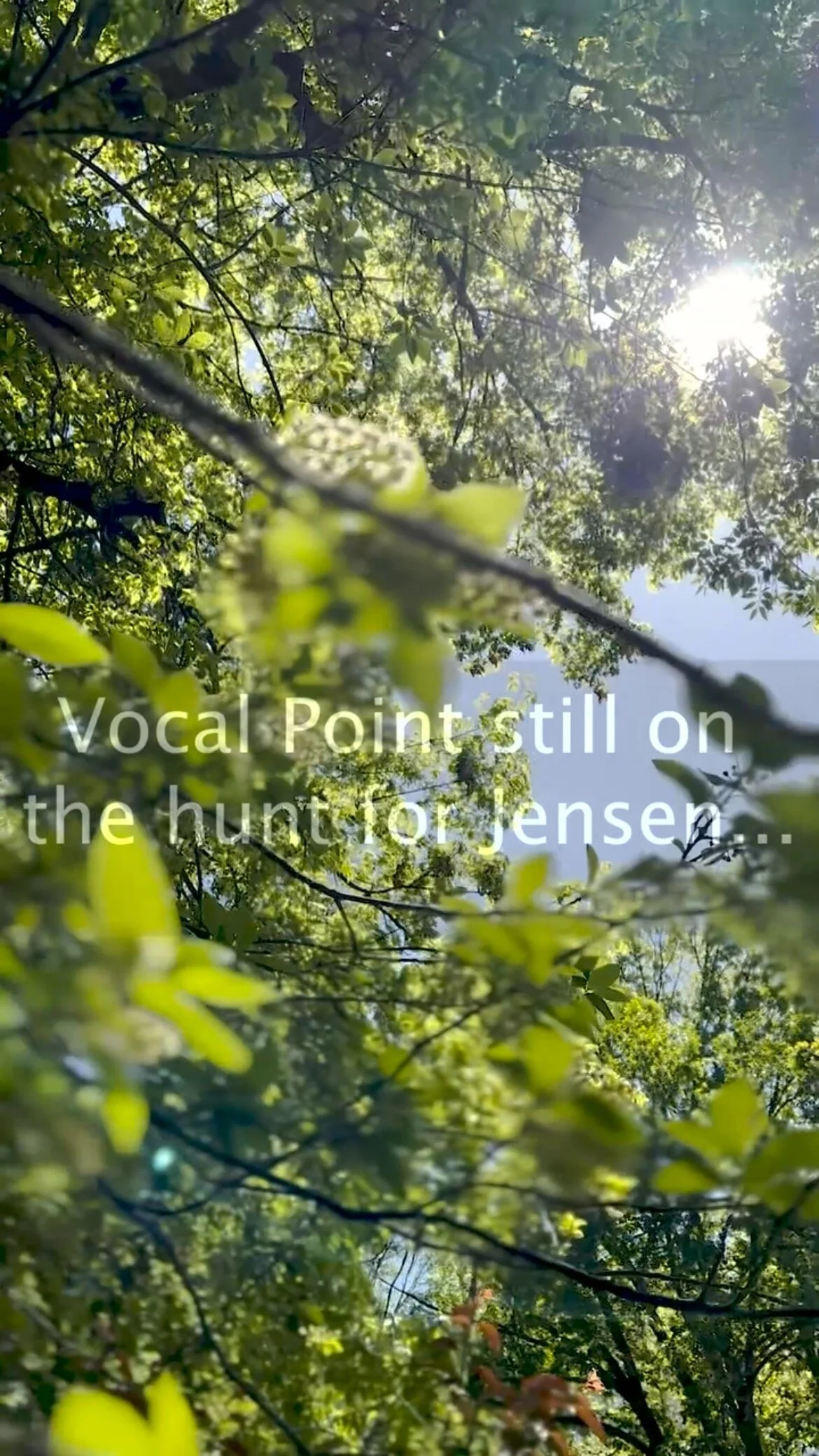 Shows — BYU Vocal Point