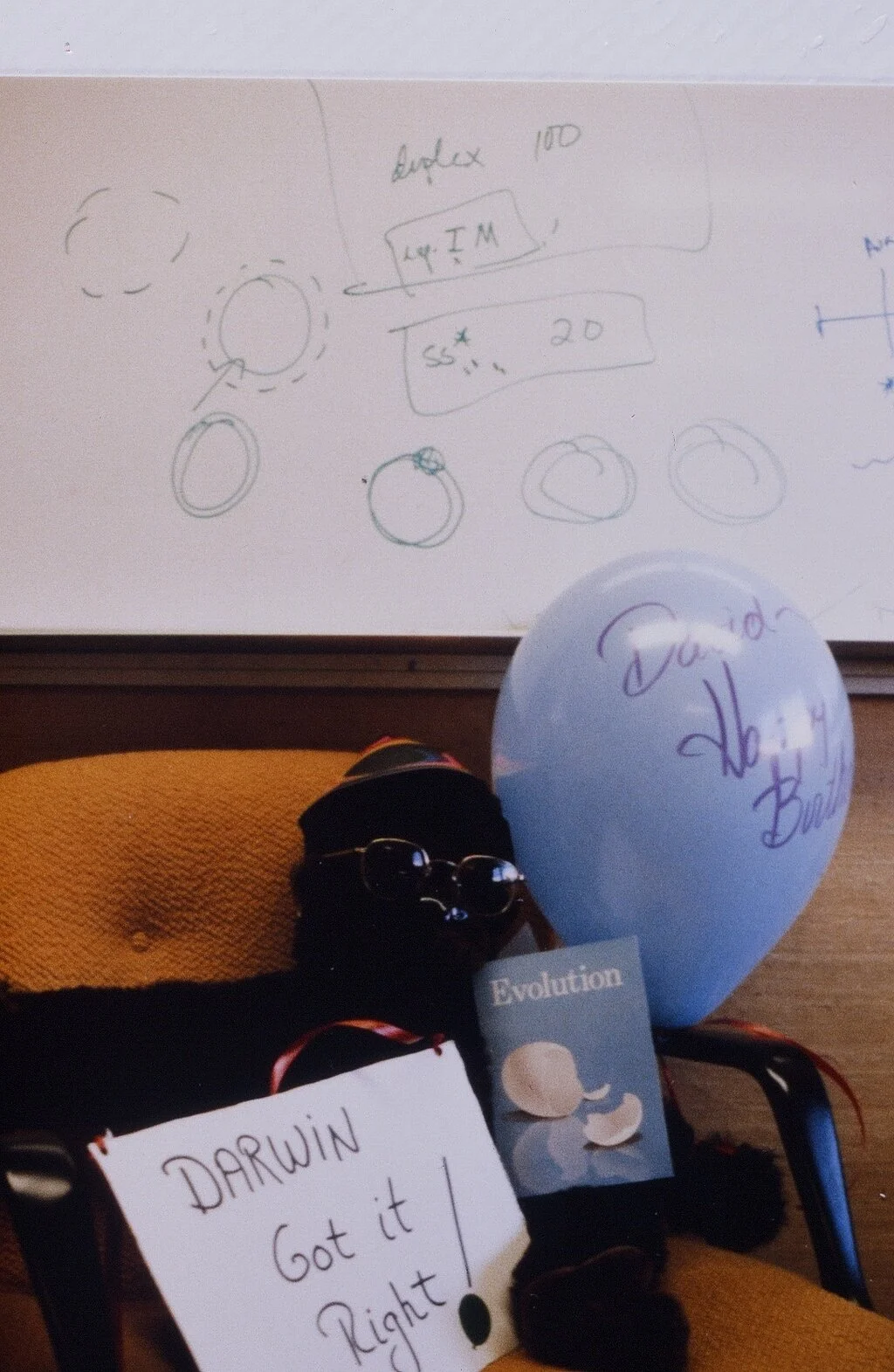 David Hogness Gallery 3 — Stanford Developmental Biology