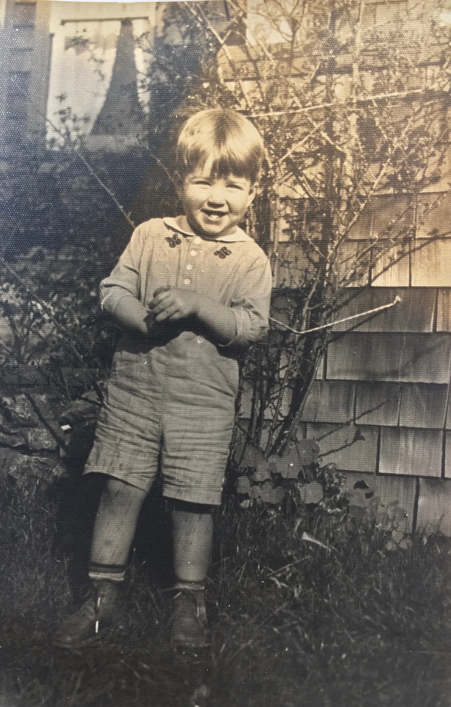 David Hogness Gallery 1 — Stanford Developmental Biology