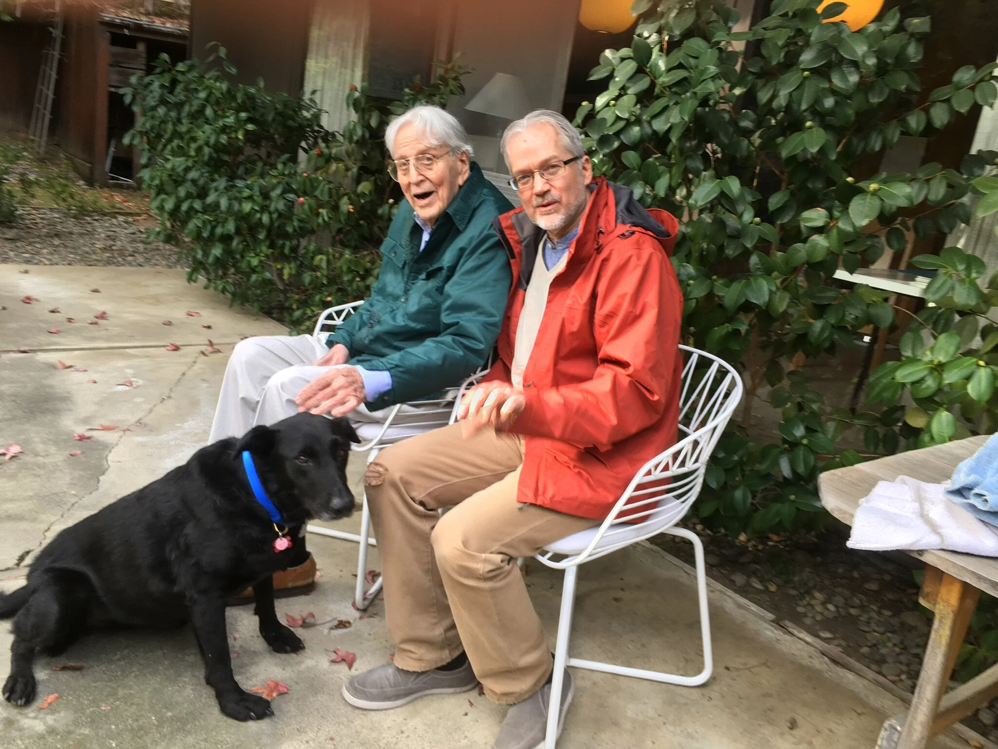 David Hogness Gallery 3 — Stanford Developmental Biology