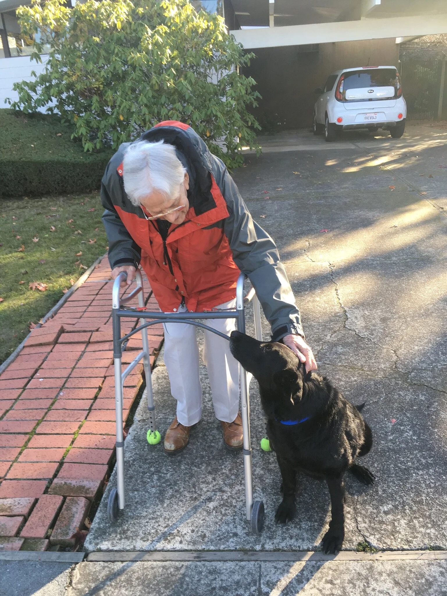 David Hogness Gallery 3 — Stanford Developmental Biology