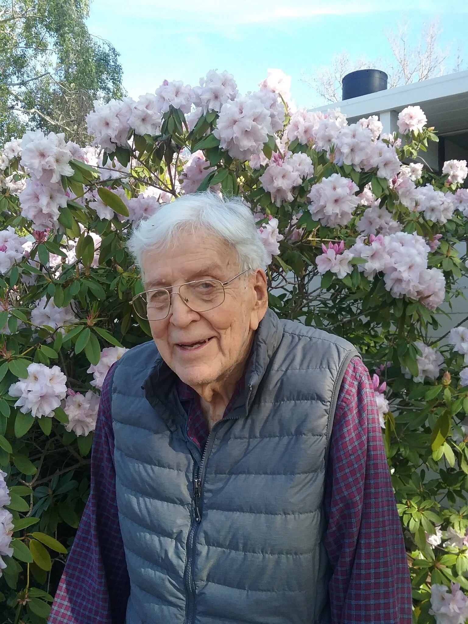 David Hogness Gallery 3 — Stanford Developmental Biology