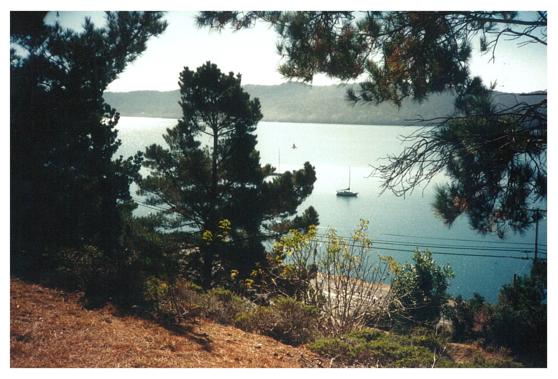 David Hogness Gallery 9 — Stanford Developmental Biology