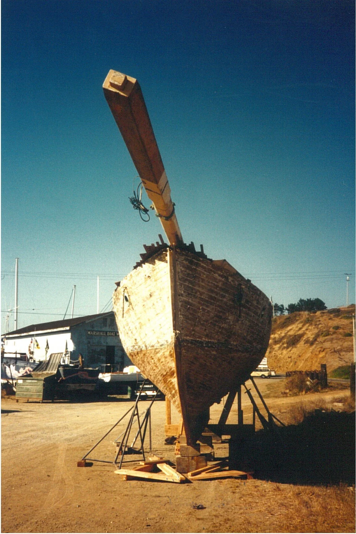 David Hogness Gallery 9 — Stanford Developmental Biology