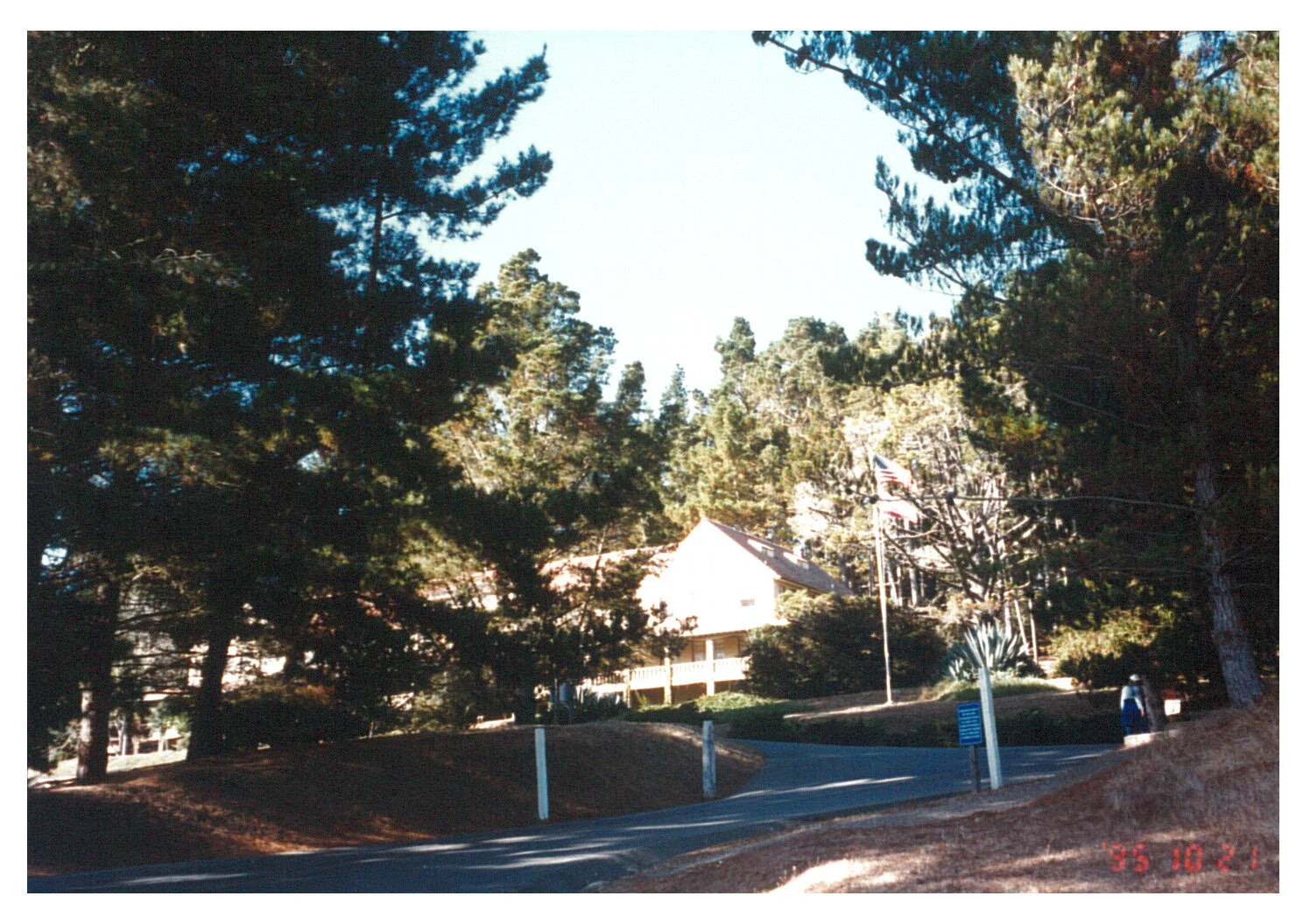 David Hogness Gallery 10 — Stanford Developmental Biology