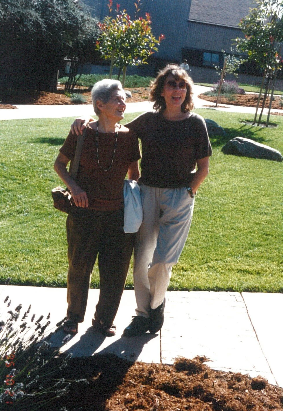 David Hogness Gallery 10 — Stanford Developmental Biology