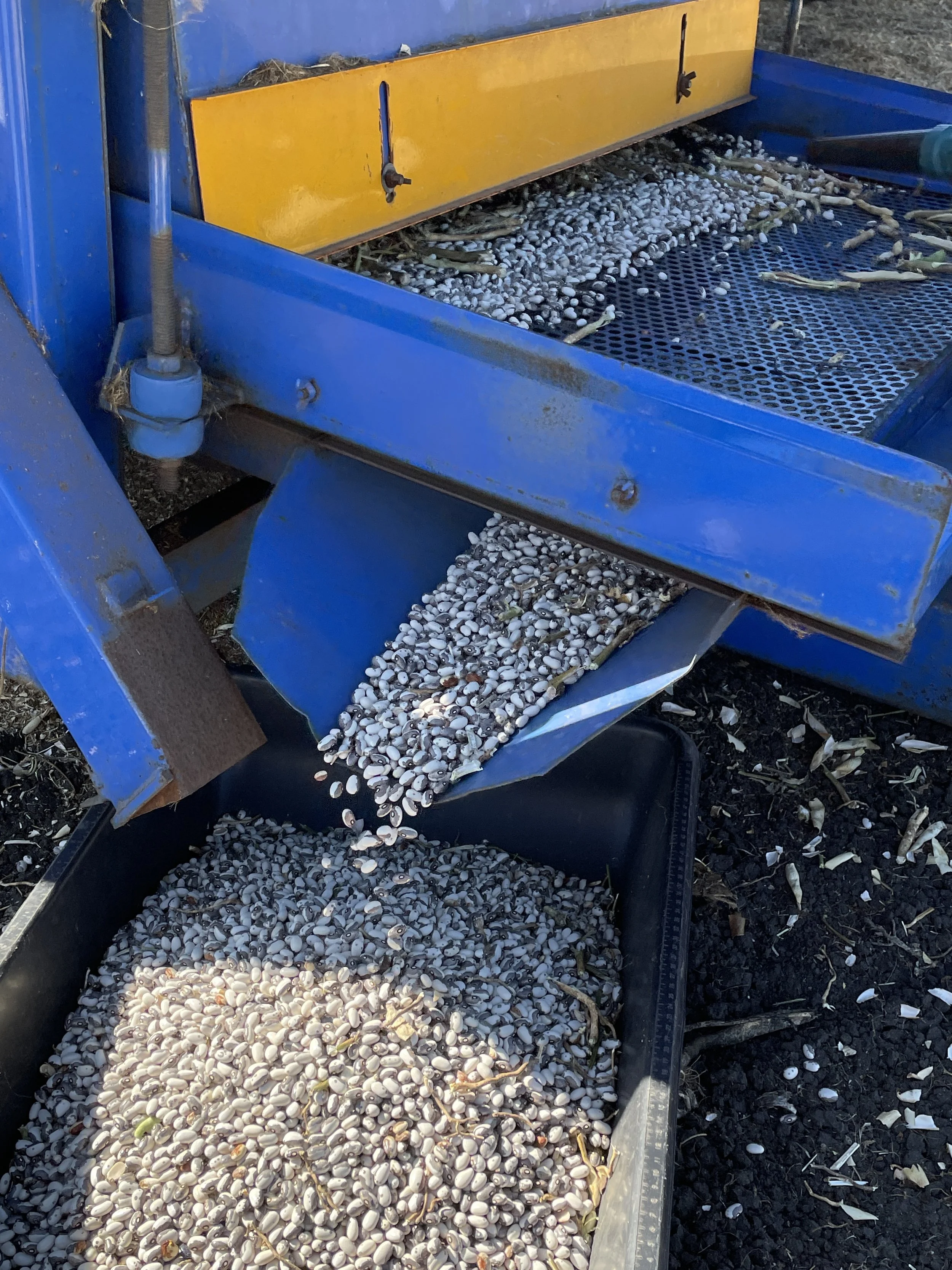 Shop Organic Heirloom Beans — Blue House Farm