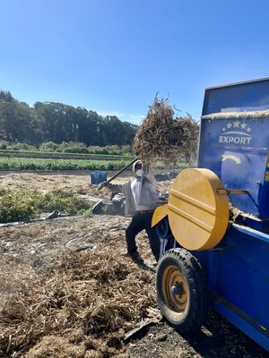 Shop Organic Heirloom Beans — Blue House Farm