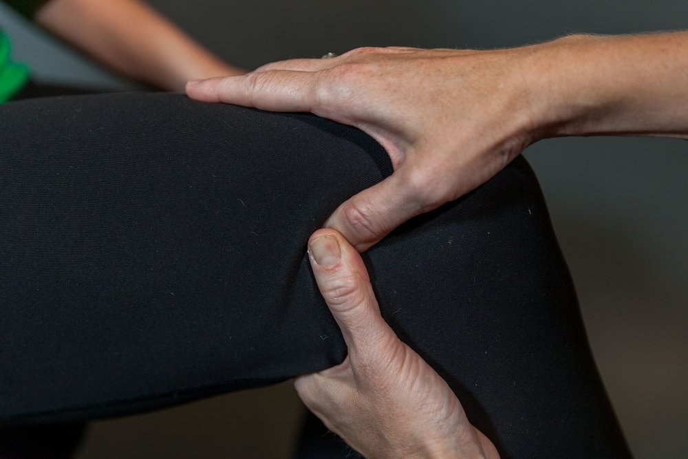 Manual Therapy | In Motion
