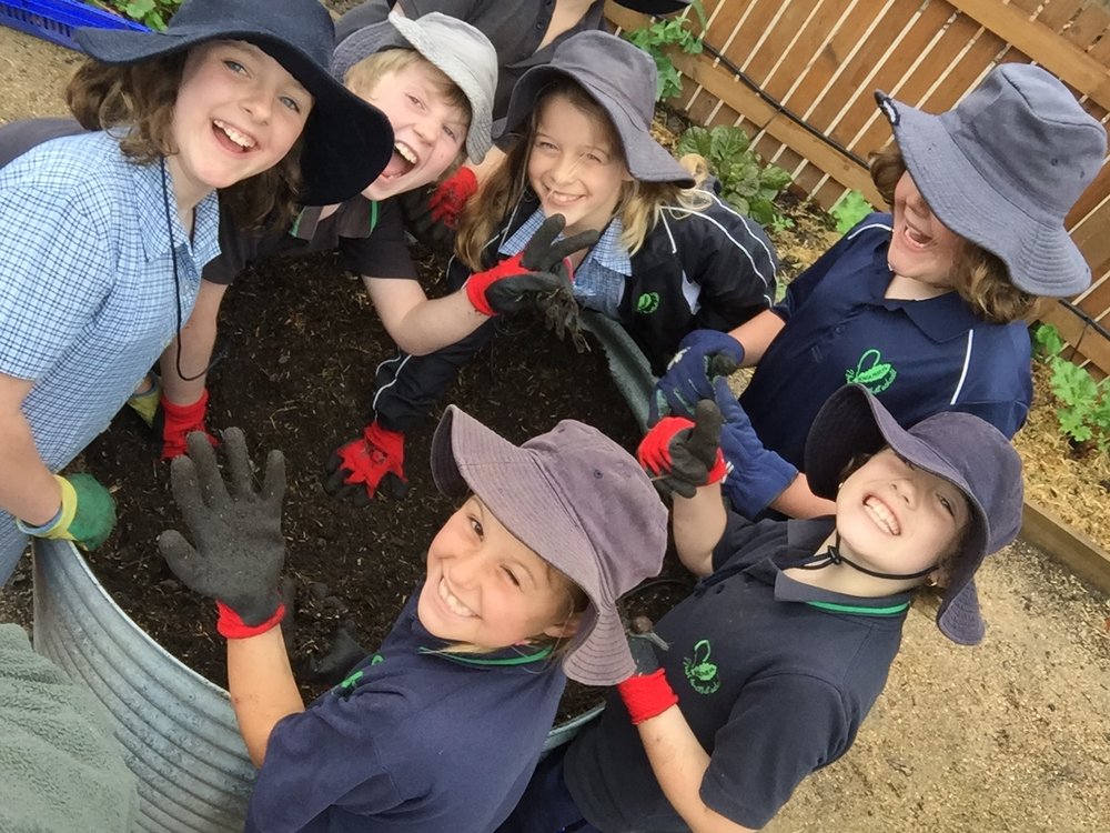 Stephanie Alexander Program — Wonga Park Primary School