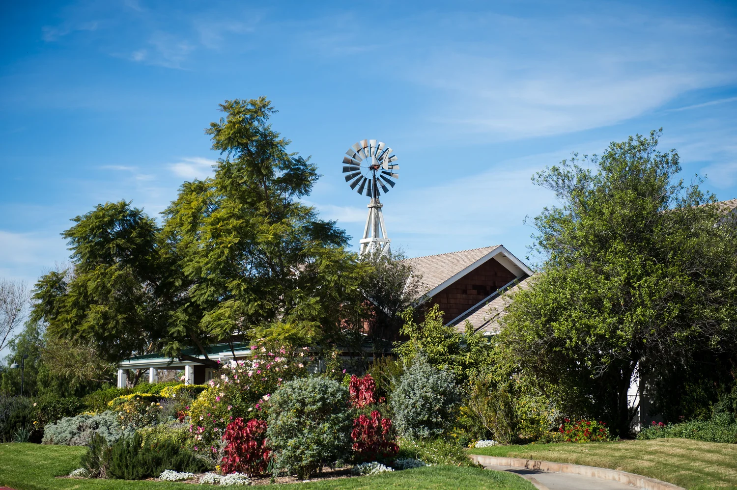 Strawberry Farms Golf Course Wedding — Michelle Johnson Photography