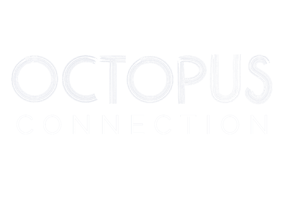 Octopus Connection