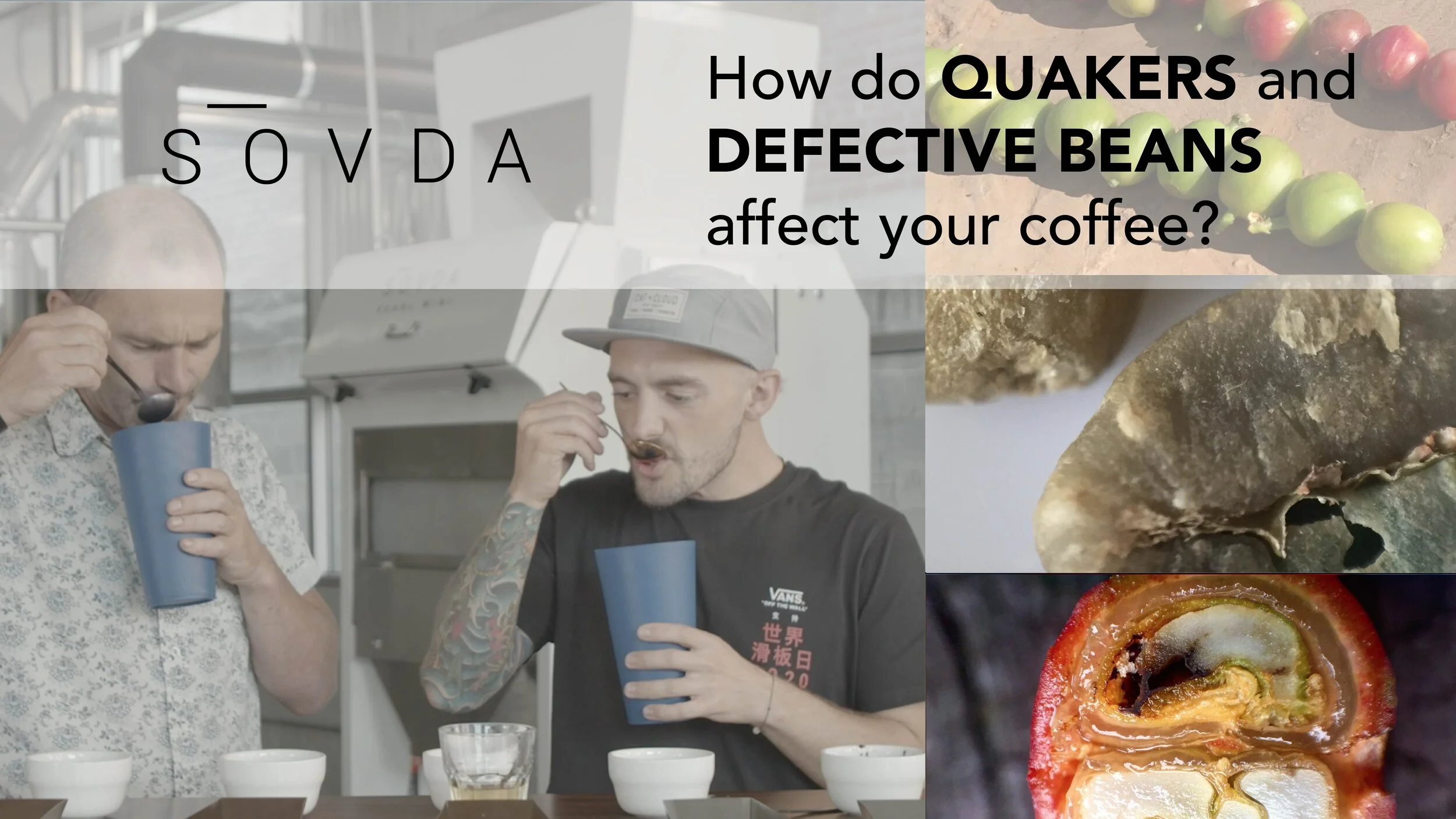 The Science Behind Defective Beans and How They Affect Your Roast ...