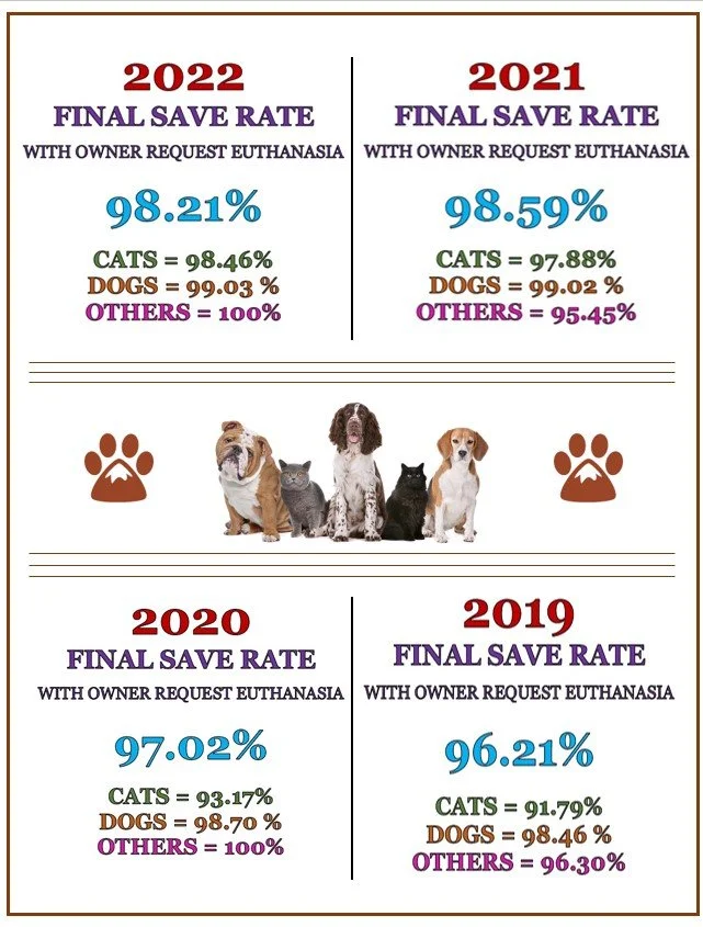 Animal Euthanasia Statistics 2022