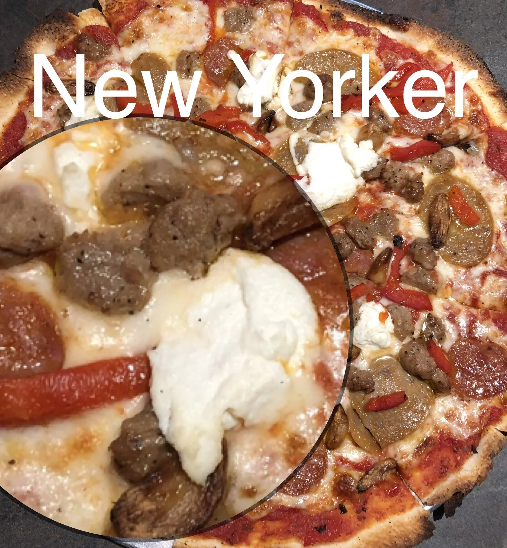 Cathouse News — Cathouse Pizza