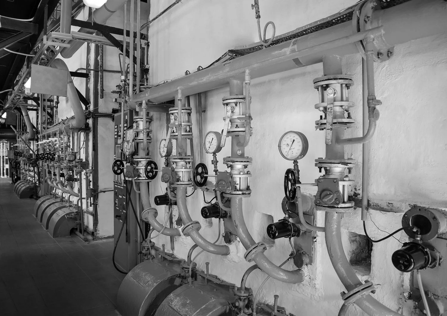 Steam Training — W.M. Wilson Company, Inc.