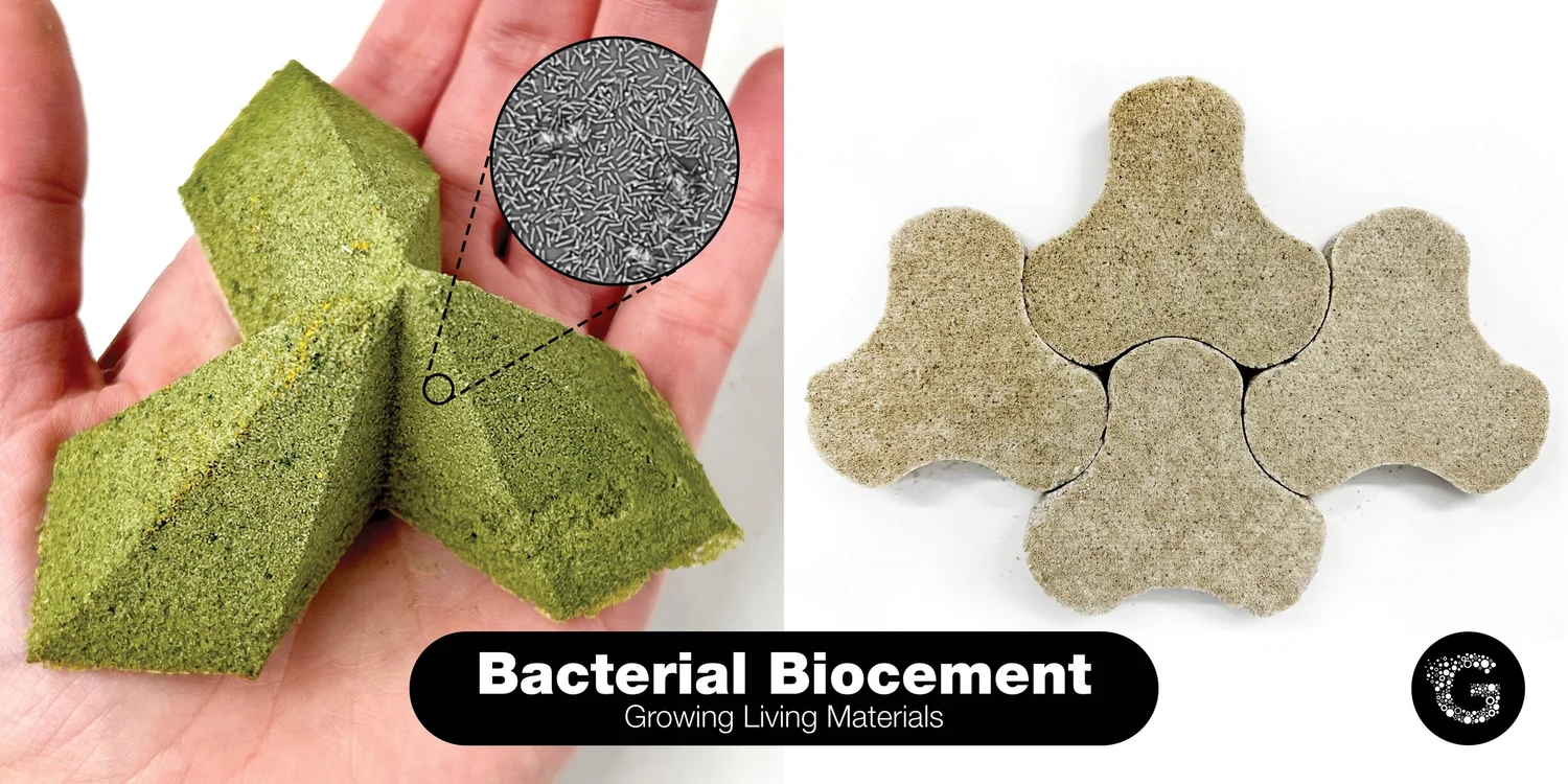 Bio Classes New York City — Genspace