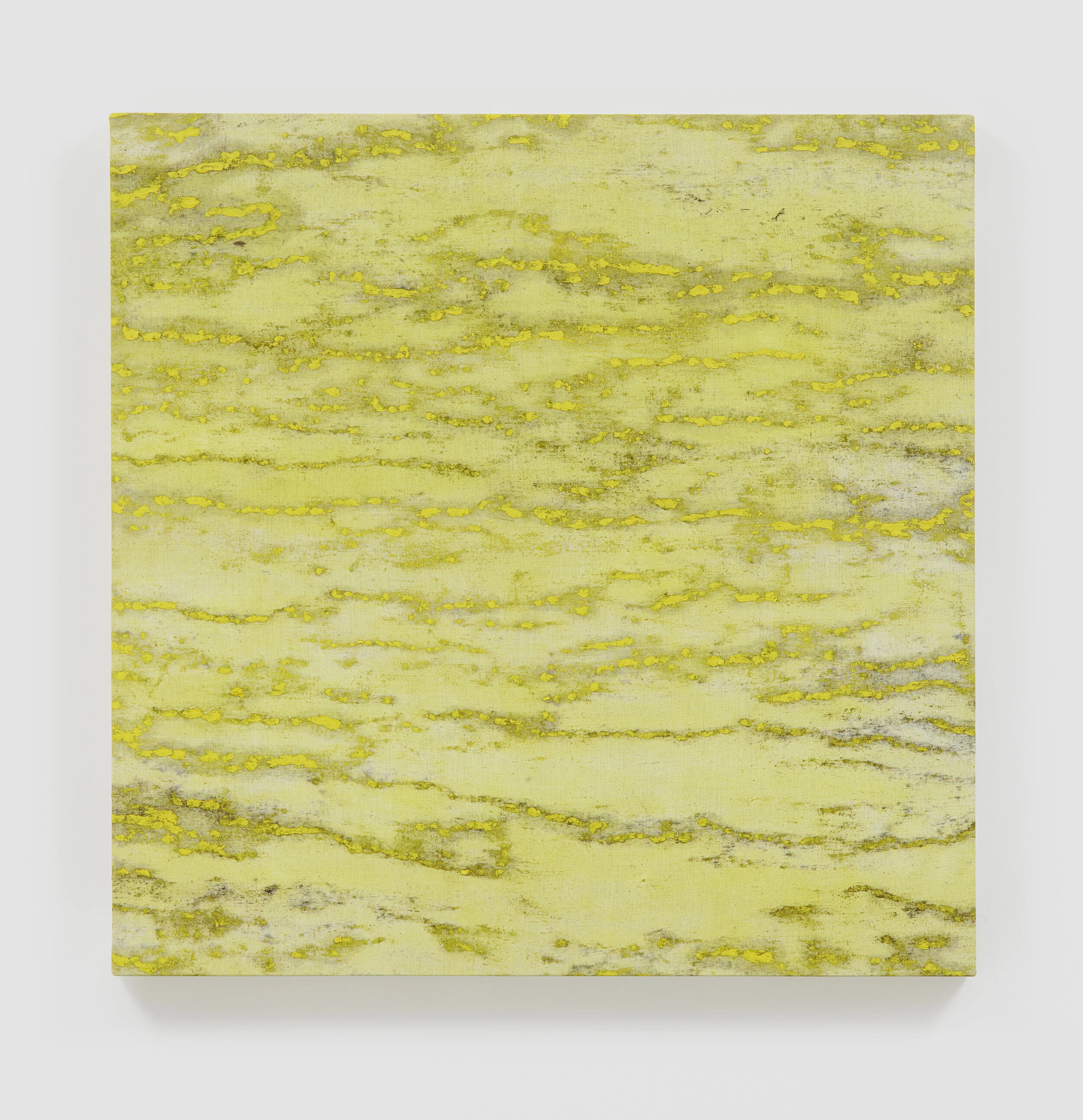 paintings — Kathleen Jacobs