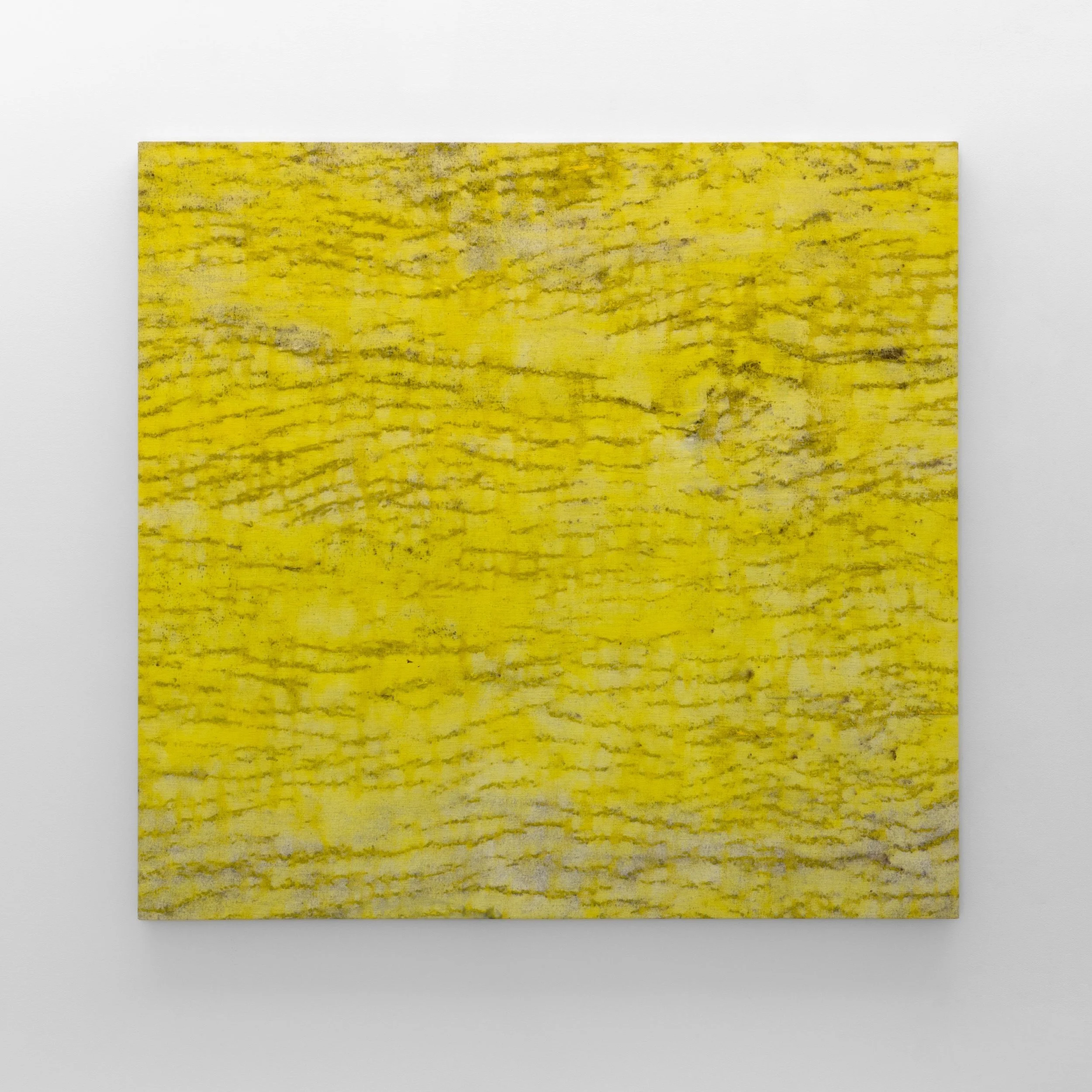paintings — Kathleen Jacobs