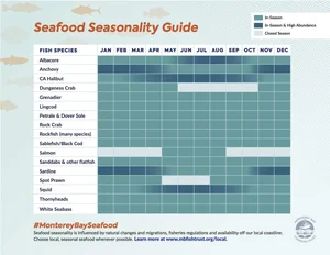 Lingcod - What to know, when & where to get it — Monterey Bay Fisheries ...
