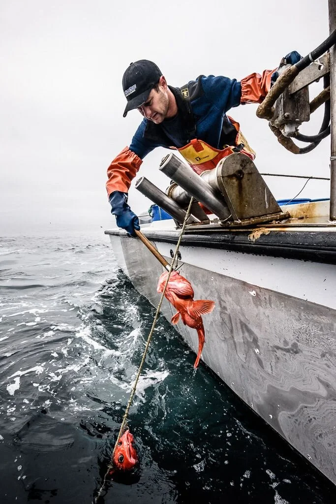 Fishing Gear Types 101: Longlines & Hook and Line — Monterey Bay ...
