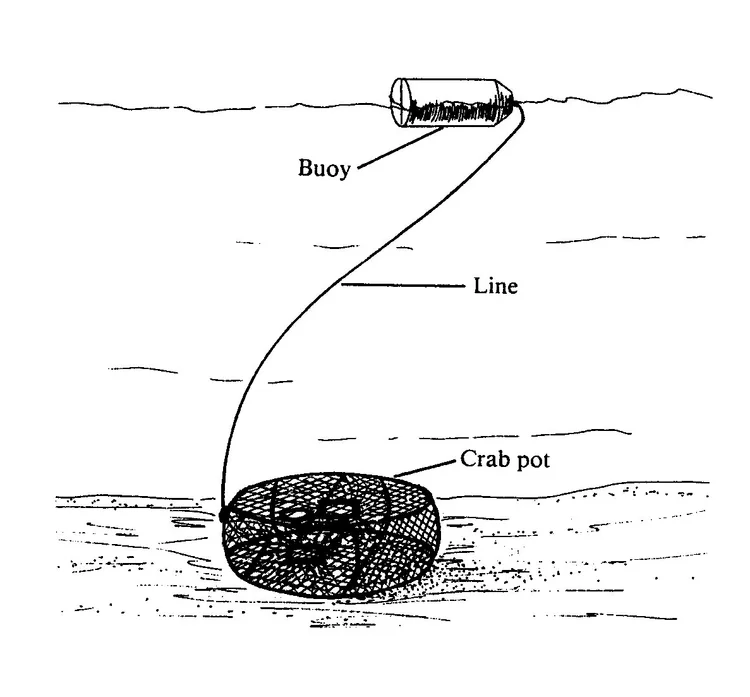 Fishing Gear Types 101: Traps and Pots — Monterey Bay Fisheries Trust