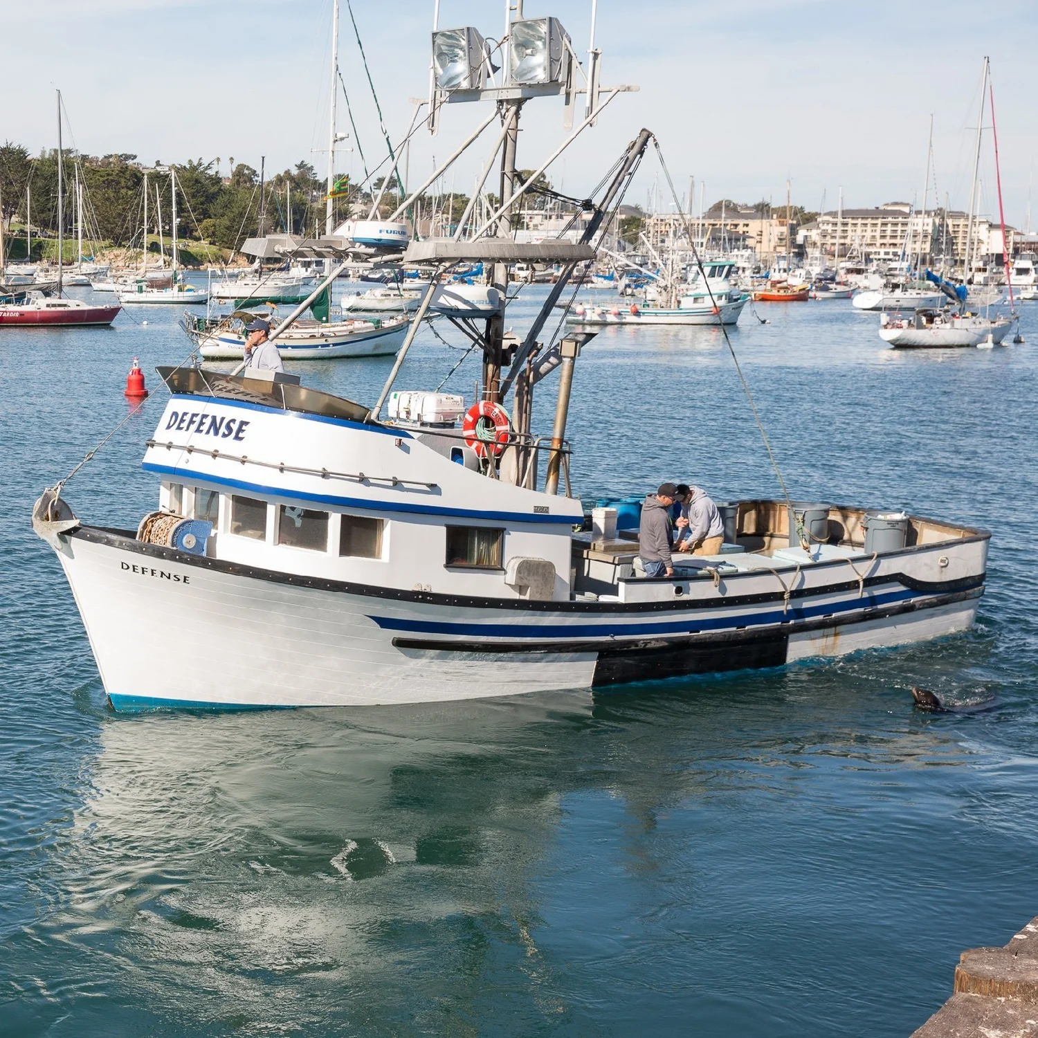 Reflecting on a Decade of the Monterey Bay Fisheries Trust — Monterey ...