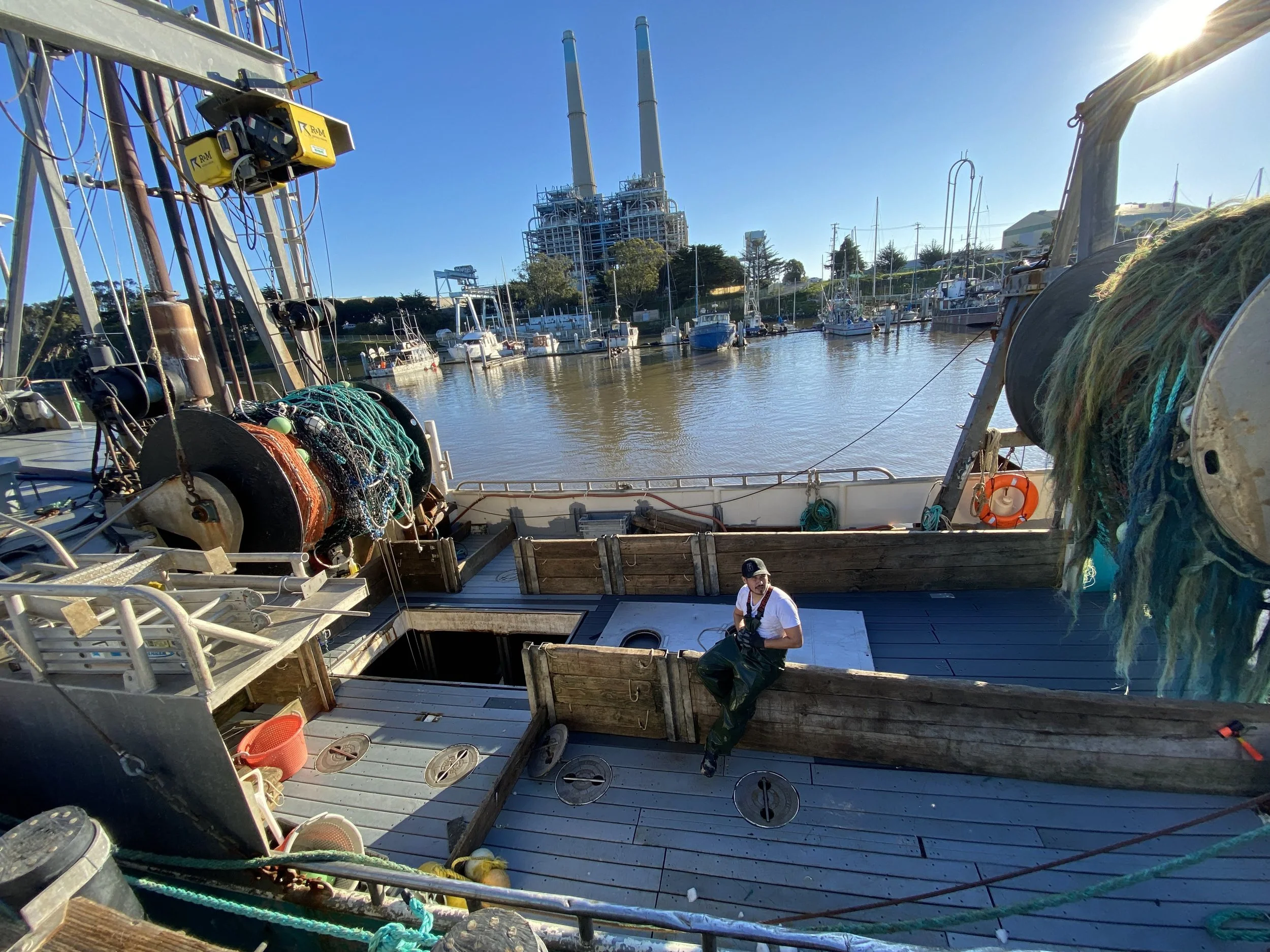 Noah's Ark Helps Revive Monterey Bay Groundfish Market — Monterey Bay ...