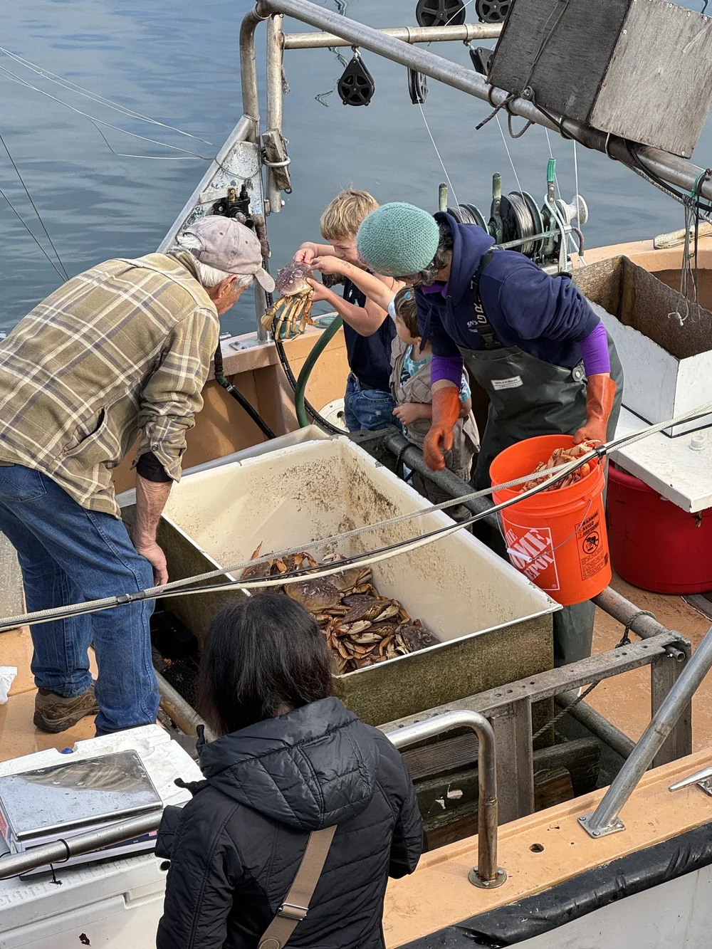 How to buy seafood off the boat (dock sales) — Monterey Bay Fisheries Trust