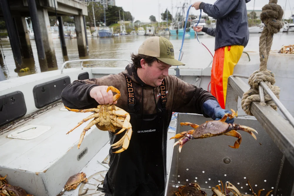 Crab Update 2025: Highs, Lows, Curveballs, and Silver Linings ...