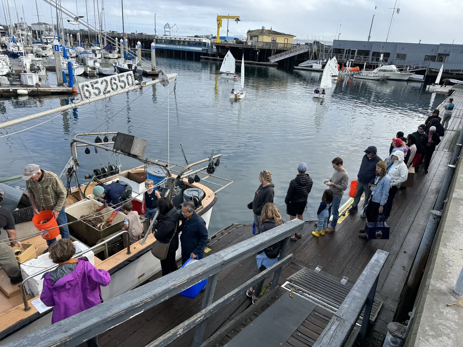 How to buy seafood off the boat (dock sales) — Monterey Bay Fisheries Trust