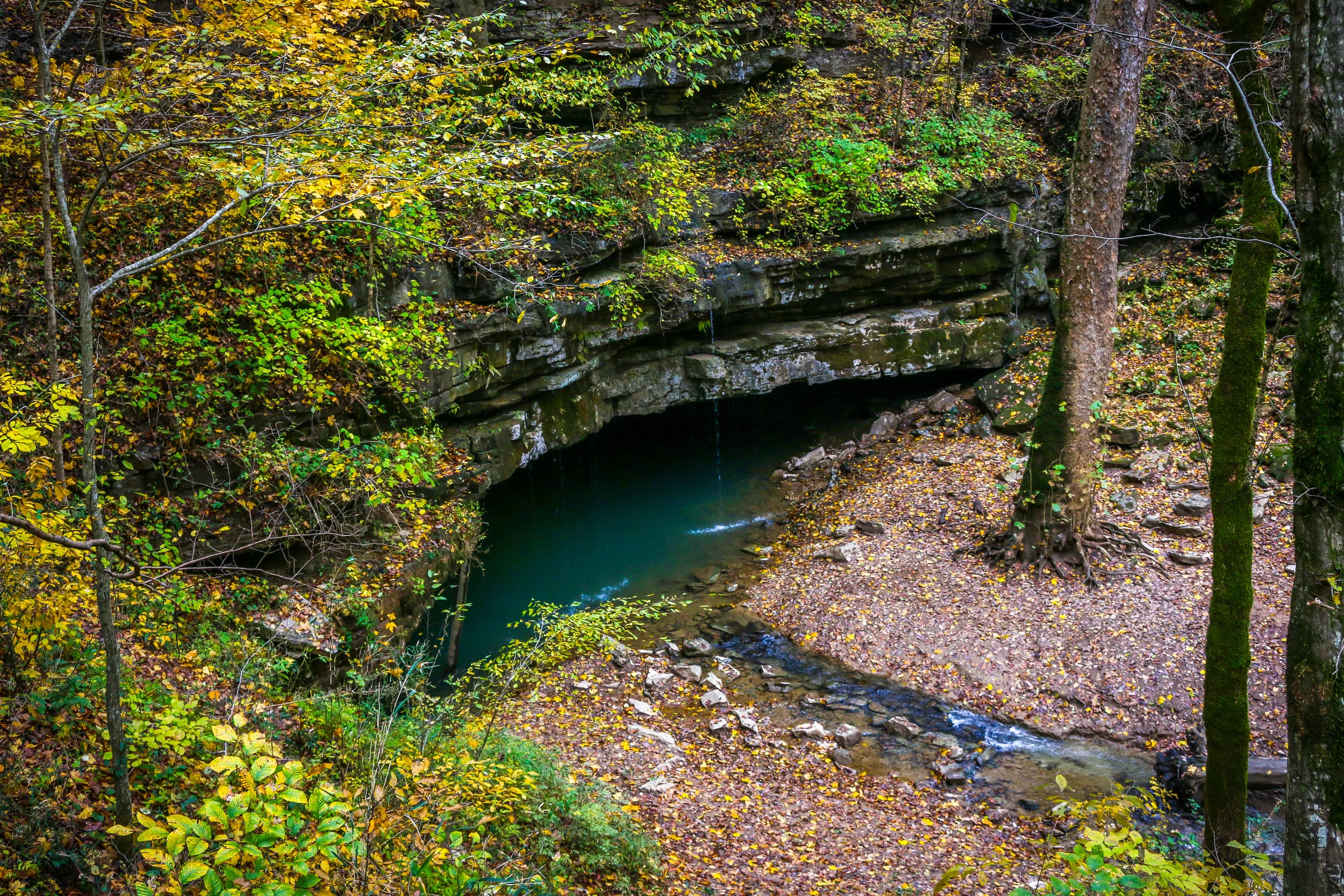 In Focus: Mammoth Cave National Park — Miles 2 Go