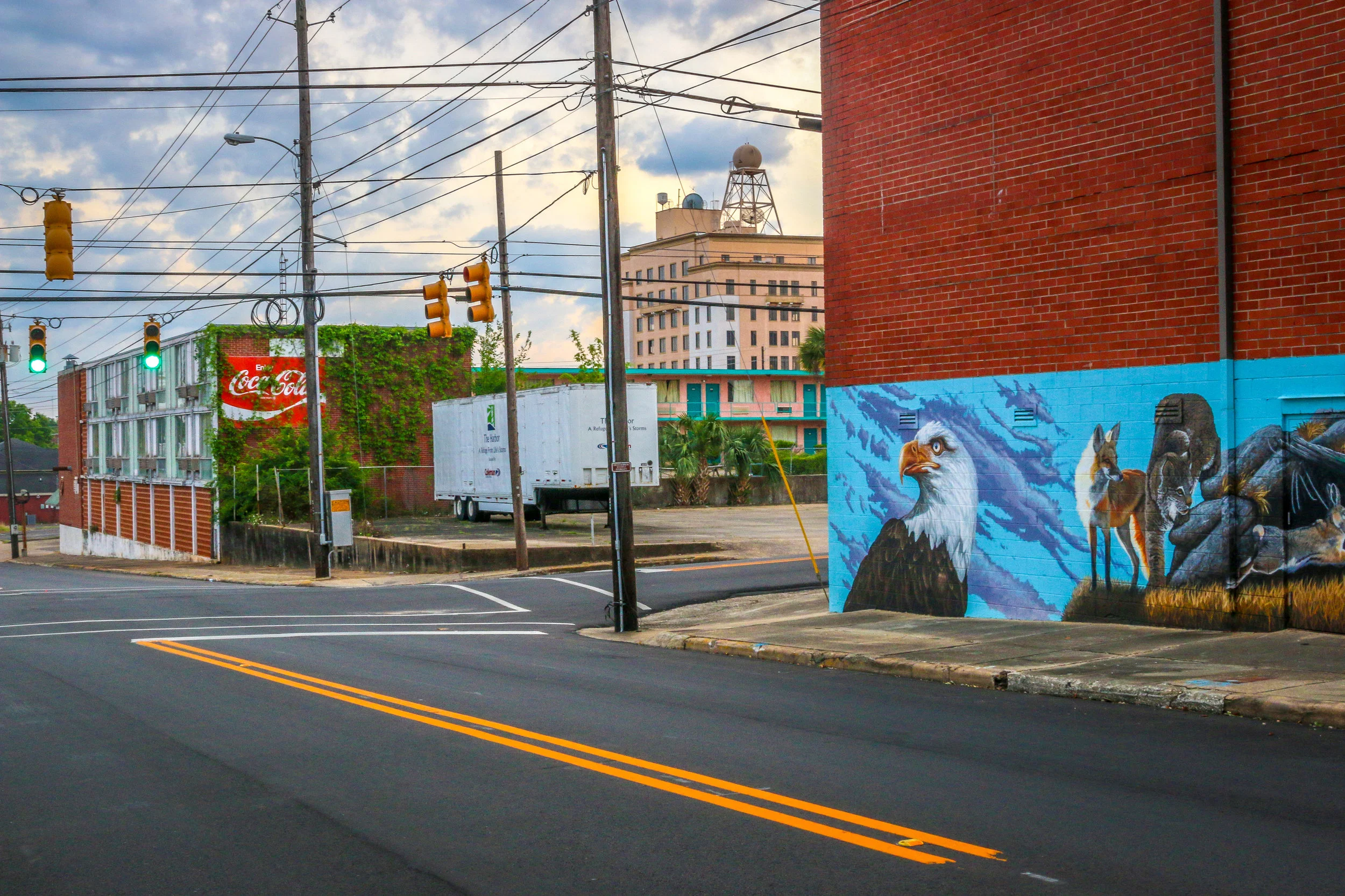 Snapshots: Dothan, Alabama - Murals and Magic in the Wiregrass — Miles 2 Go