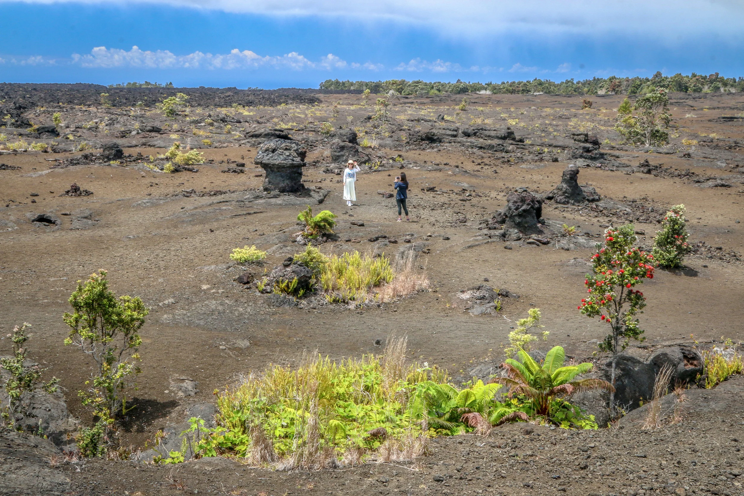 In Focus: Hawai'i Volcanoes National Park — Miles 2 Go