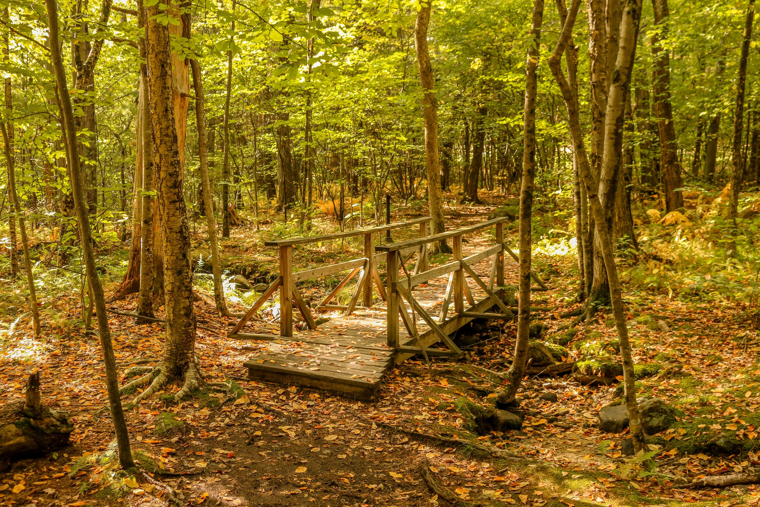 Snapshots: Fall in New Hampshire (Part One) — Miles 2 Go