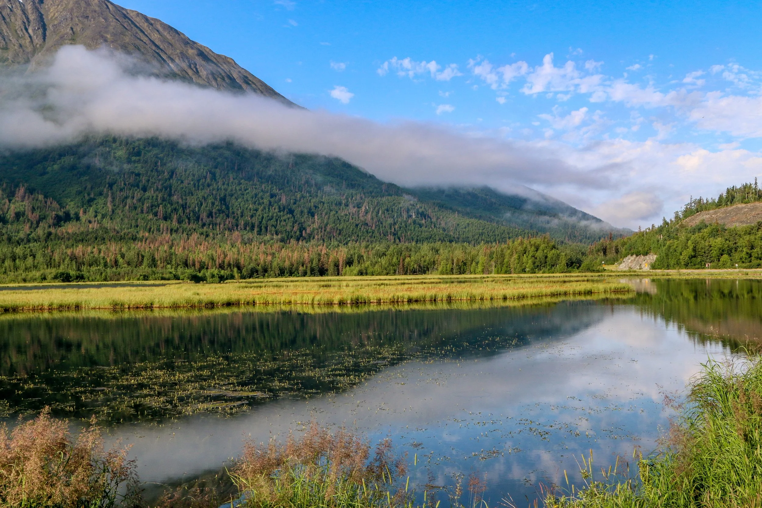 July in Alaska — Miles 2 Go