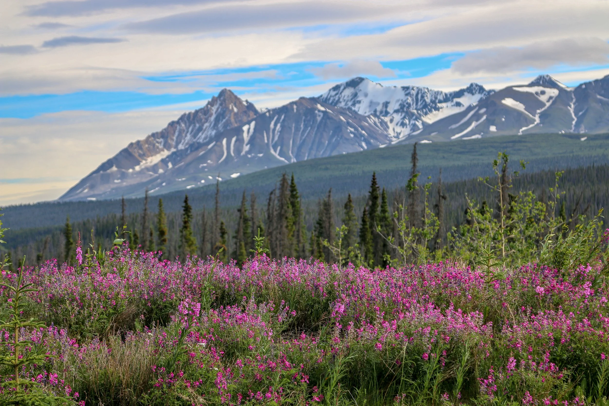 Hello From Alaska — Miles 2 Go