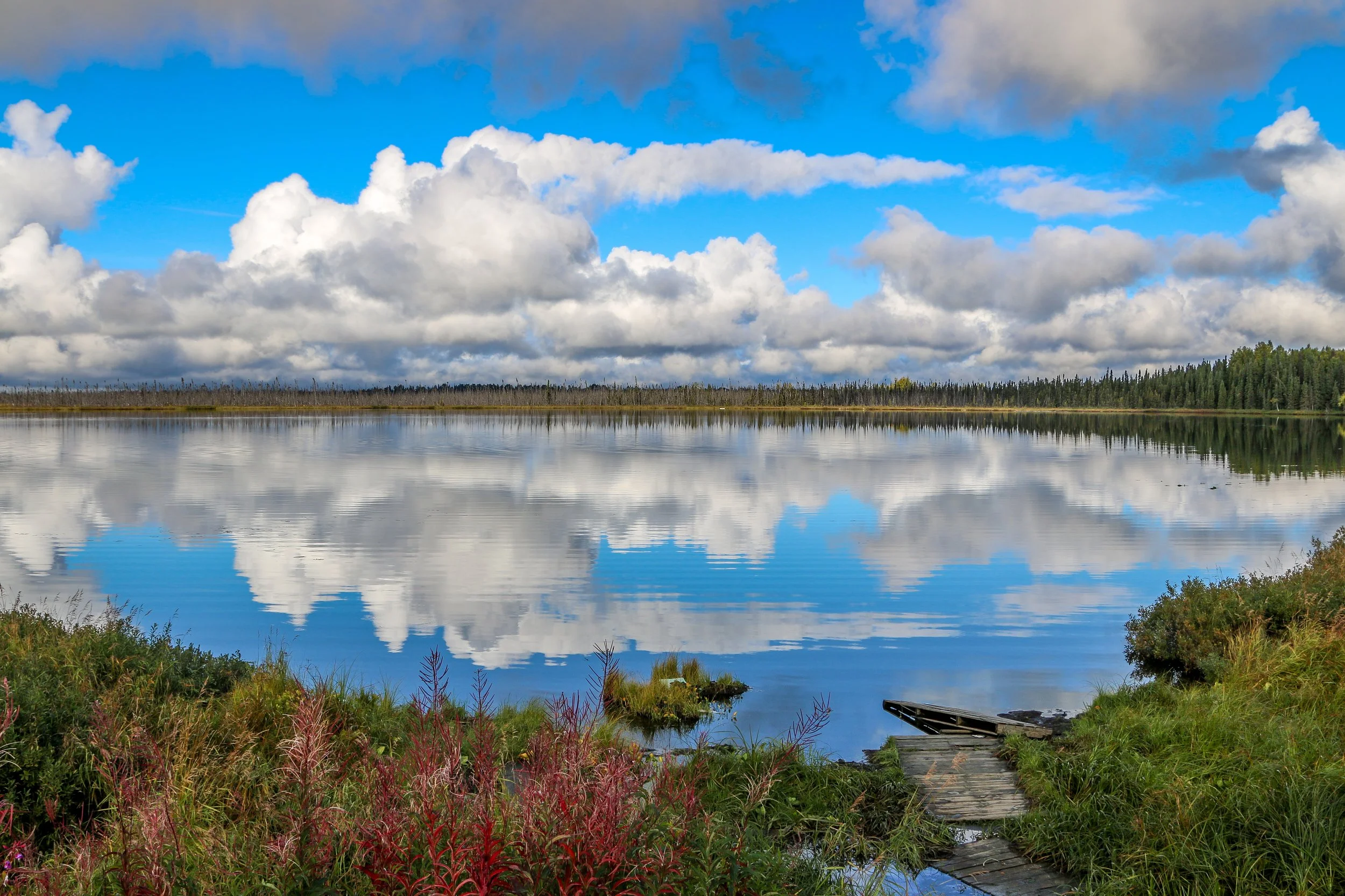 August in Alaska (Part 2) — Miles 2 Go