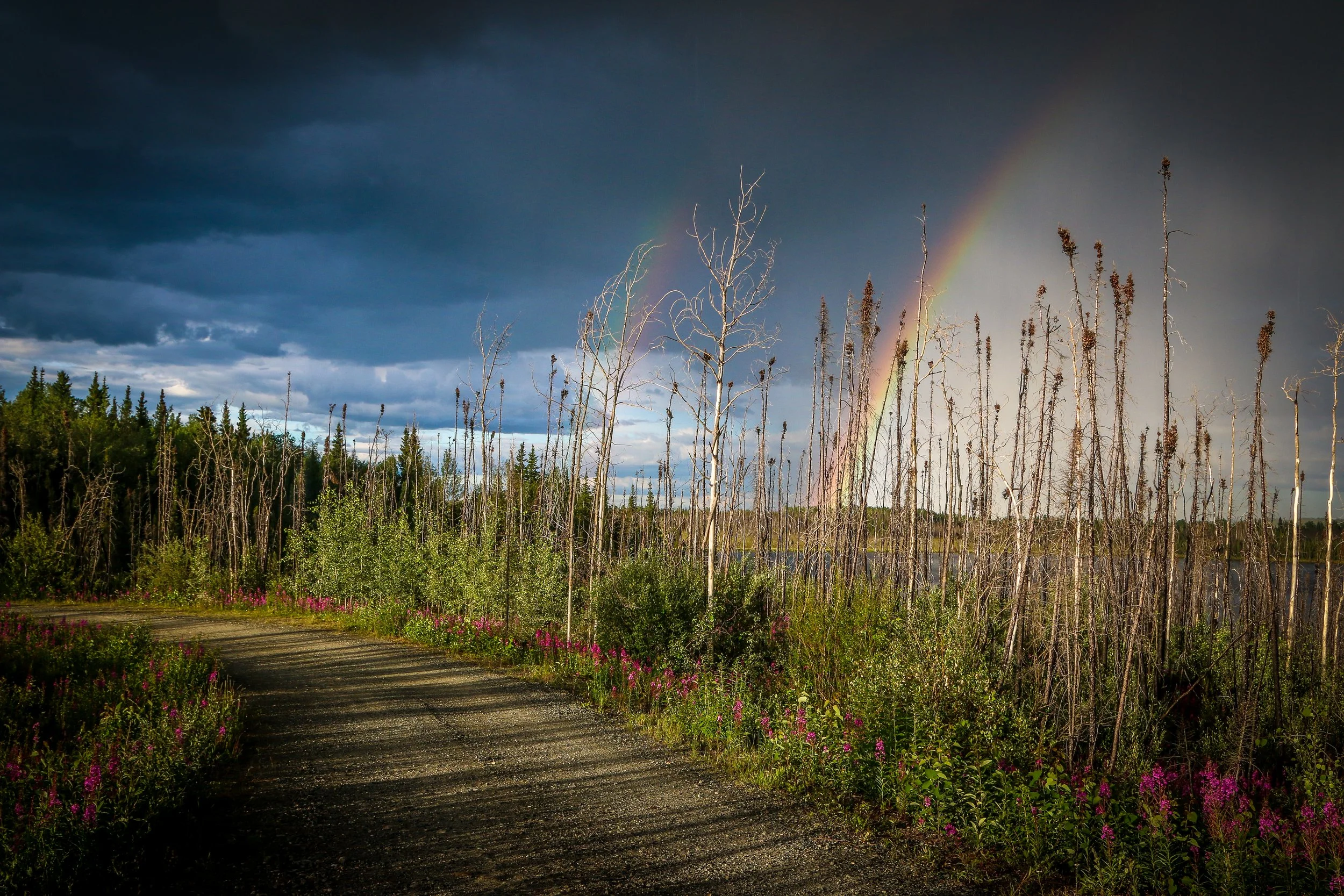 Hello From Alaska — Miles 2 Go