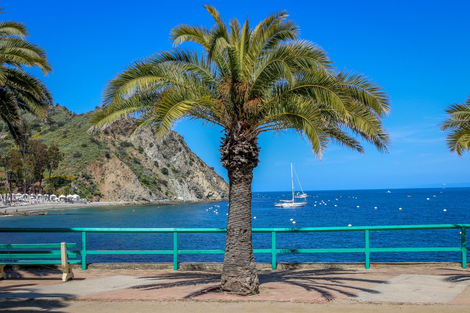 Snapshots: Avalon - The Jewel of Catalina — Miles 2 Go
