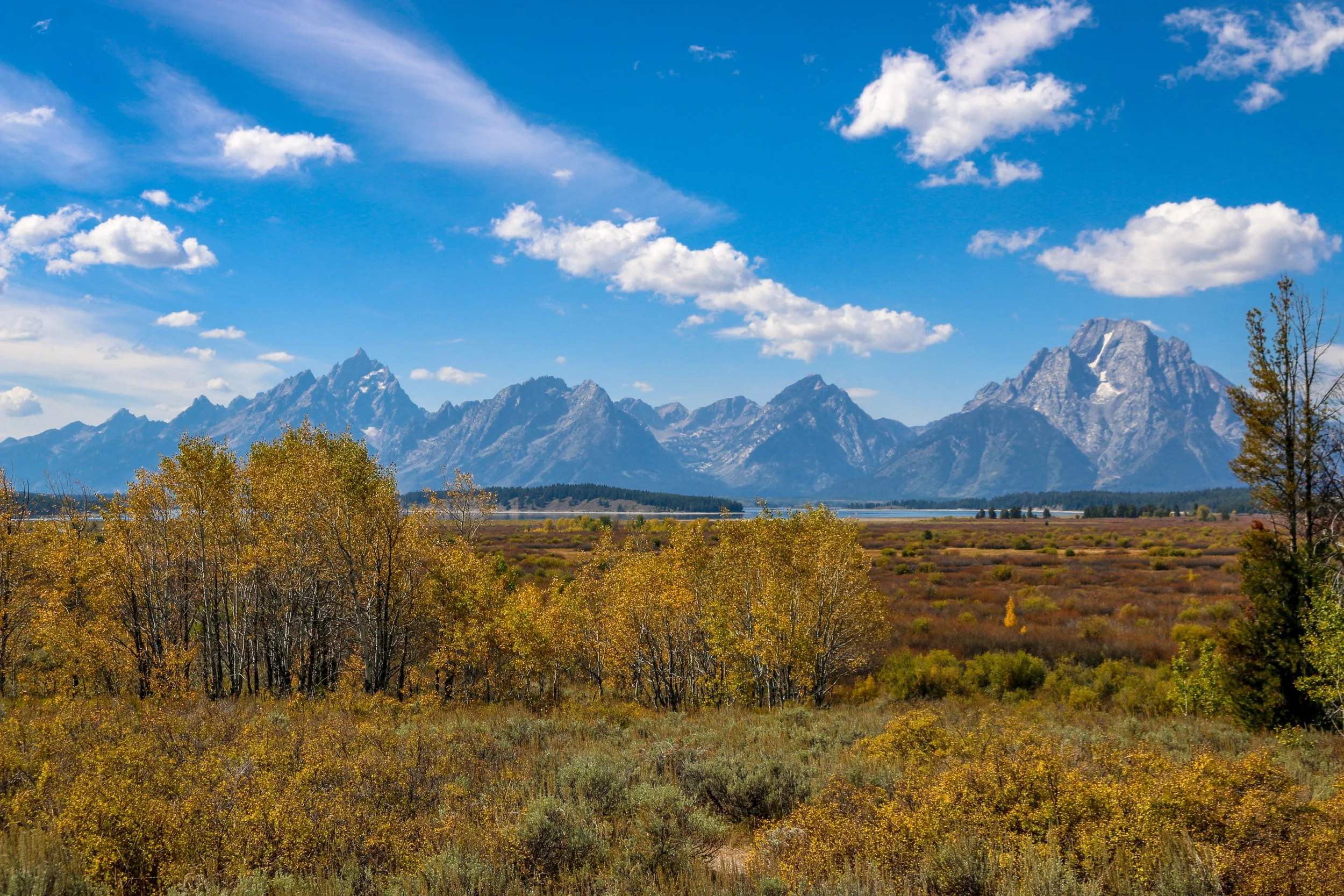 Fall Wrap-Up — Miles 2 Go