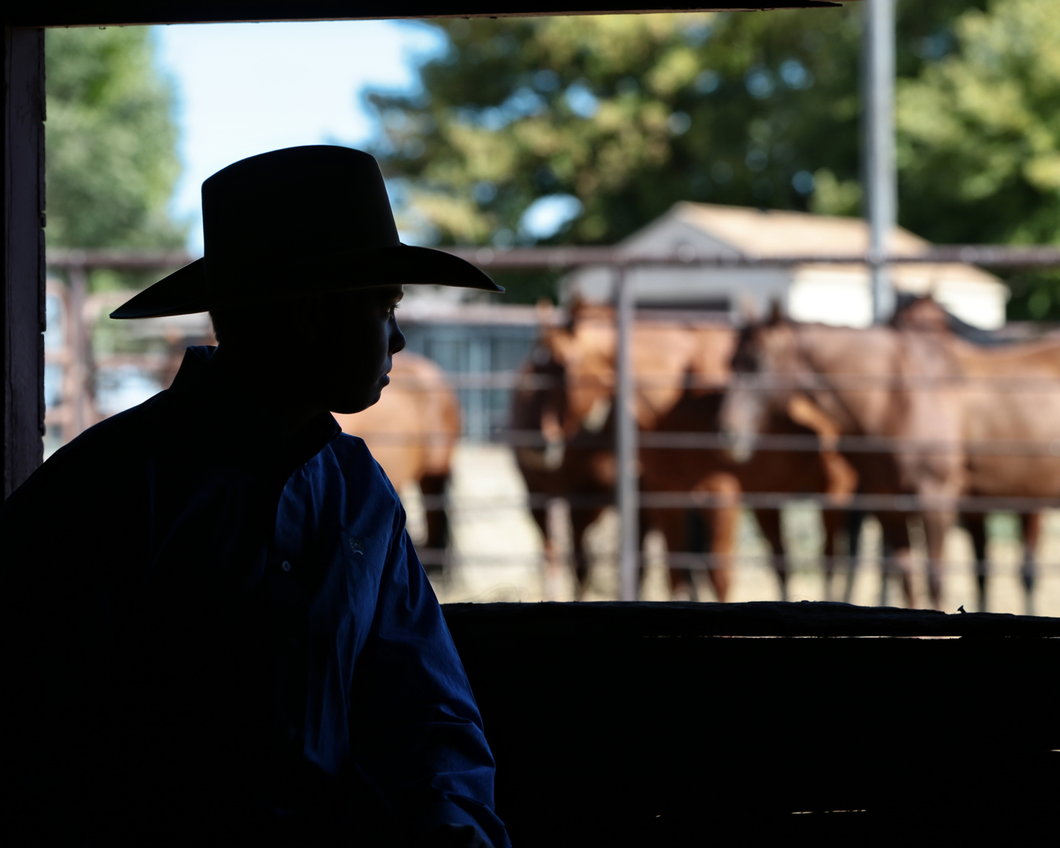 Western Lifestyle — Bull Stock Media